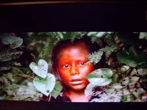 The colours blue and red used by Indigenous Peoples - The Akan